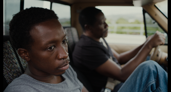 Watch American Film Institute Movies