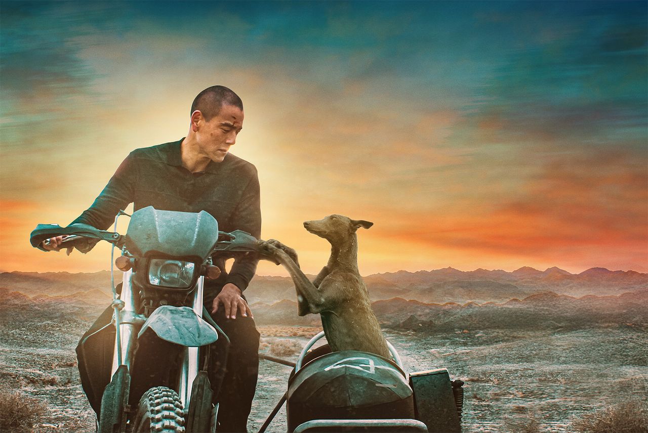 Trinity Cine Asia - Black Dog