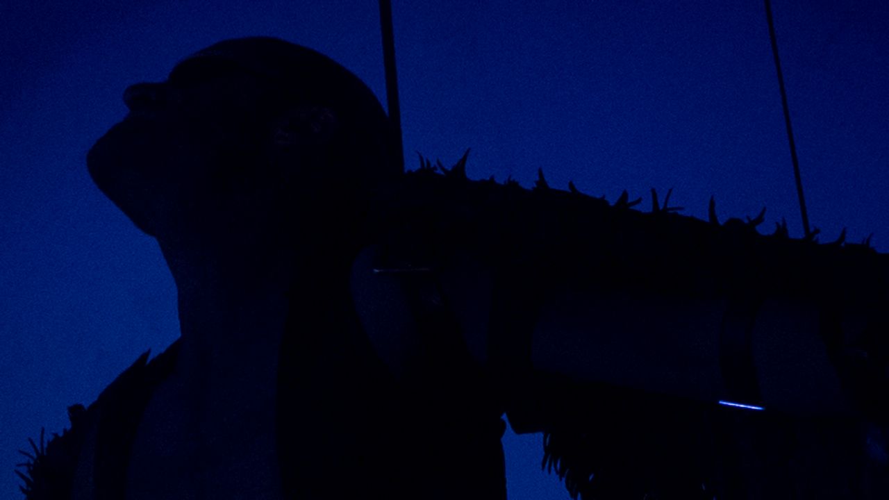 Finky | Where to Watch