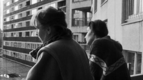 German Films - The Warm Money