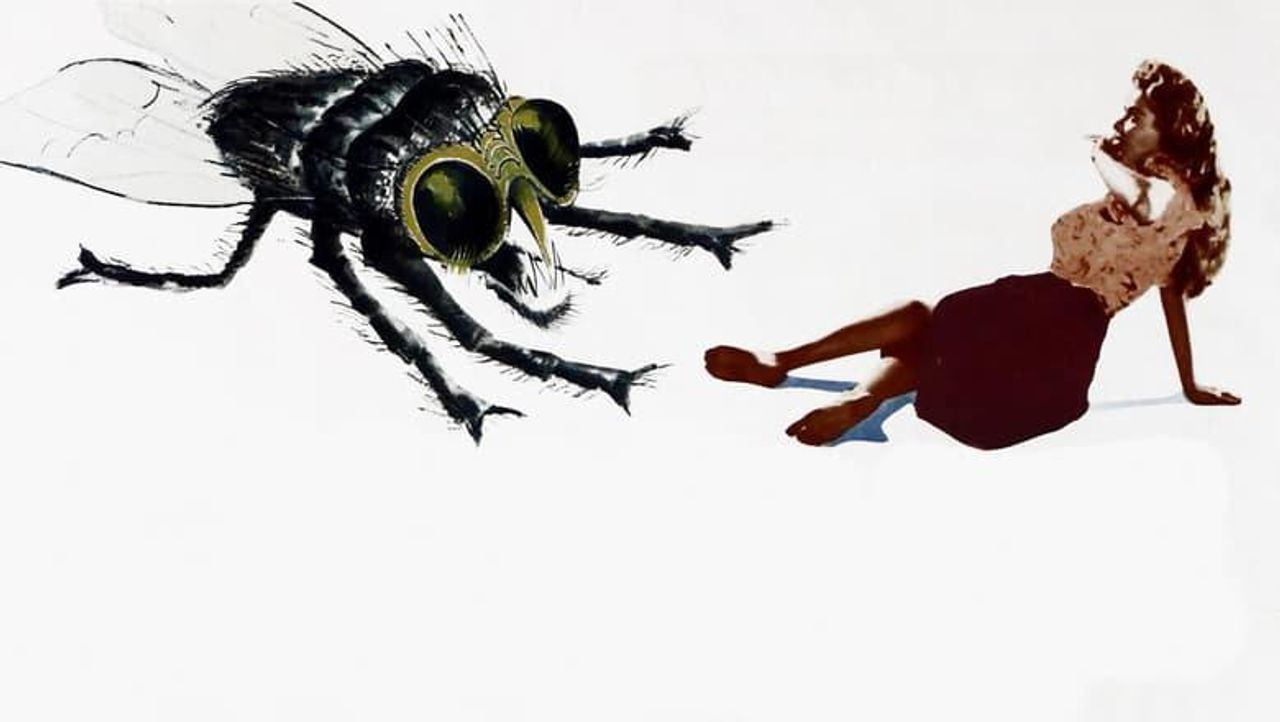 The Fly - American Film Institute