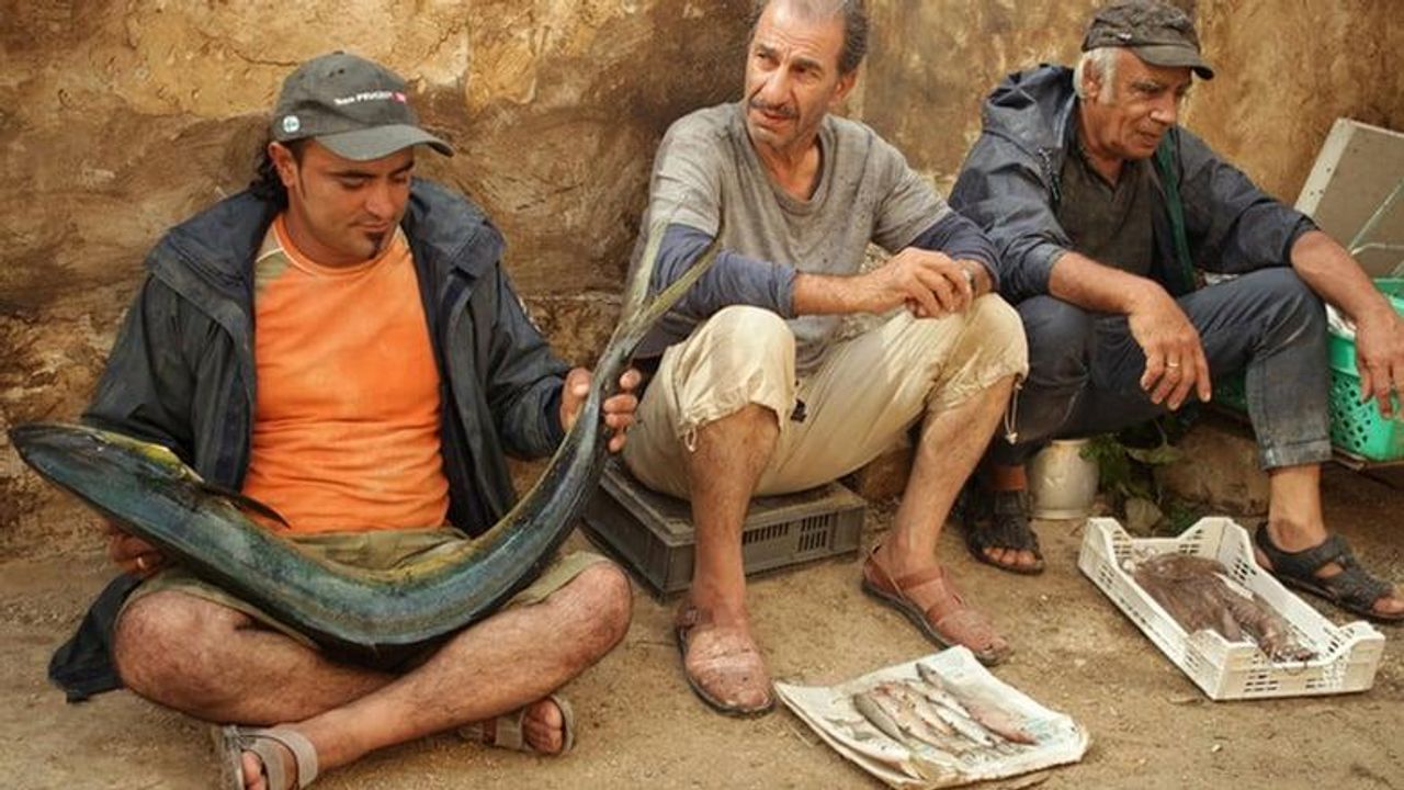 When Pigs Have Wings - American Film Institute