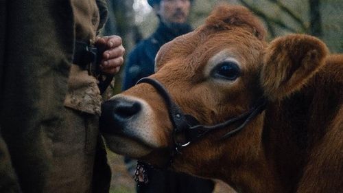 Vitrine Filmes - First Cow – A Primeira Vaca da América